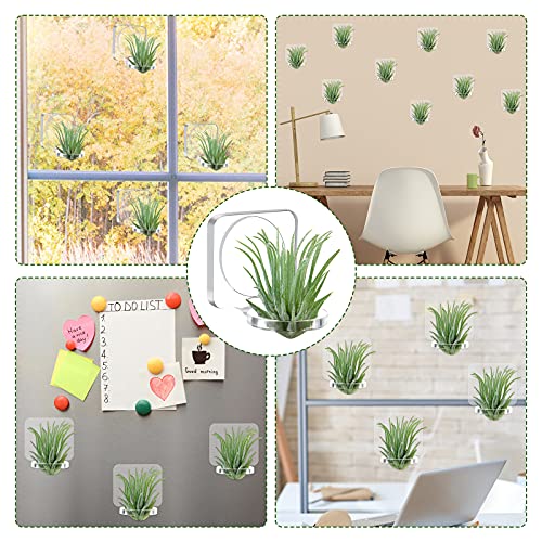 Jetec 12 Pcs Air Plants Holder, Acrylic Air Plant Hanger with Mounting Tape for Hanging Air Plants on Glass Display Home Decoration, Plants Not Included