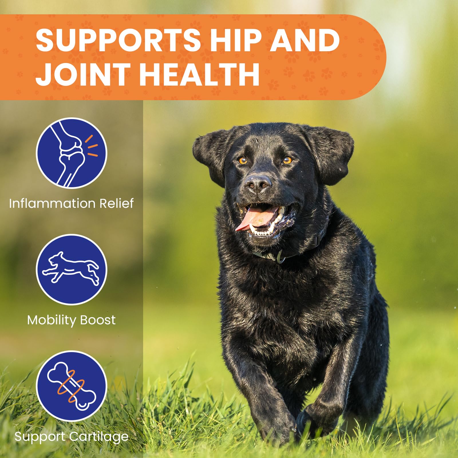 HOOLOO Calming Chews for Dog Anxiety Relief-Natural Puppy Calming Treats Help Manage Stress and Promote Relaxation,Made in USA-120 Chews