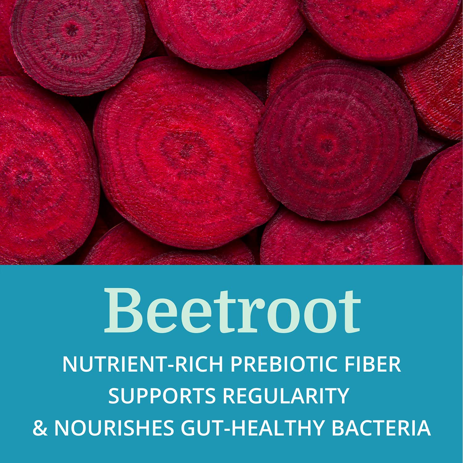 Morter HealthSystem Alkadophilus (2 Pack) Best Process Alkaline — No Refrigeration Probiotic & Prebiotic Digestive Supplement — 1.5 Billion CFU of Good Bacteria & Beetroot