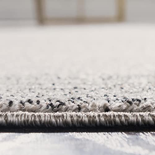 Rugs.com Angelica Collection Rug β 9' x 12' Light Gray Medium Rug Perfect for Living Rooms, Large Dining Rooms, Open Floorplans