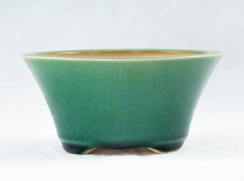 Fine Round Green Glazed Cactus & Succulent Planter, Shohin Bonsai Pot + Mesh - 5.25"x 5.25"x 2.5"