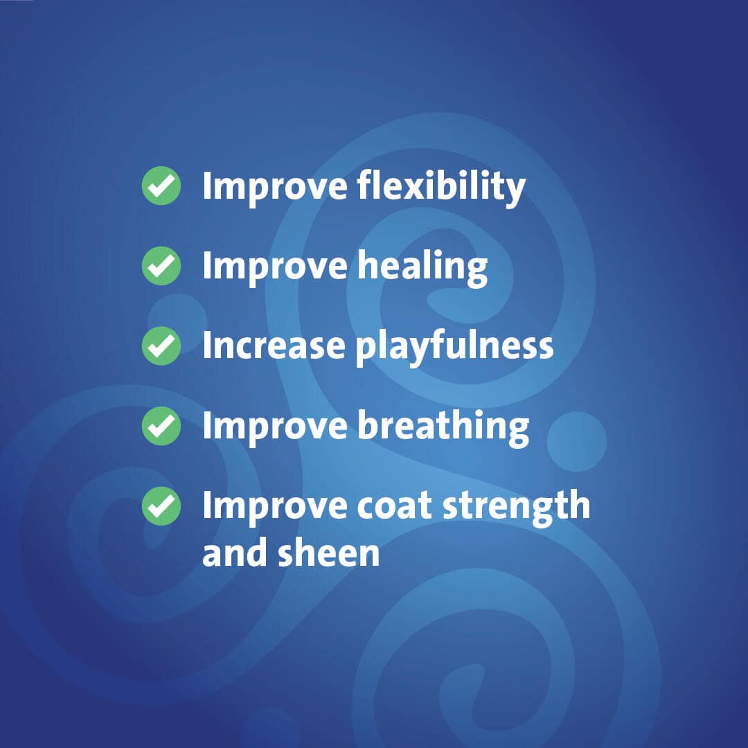 PURICA Recovery SA Powder 350g - Advanced Support for Joints, Comfort & Mobility in Dogs & Cats - Natural & Safe Supplement