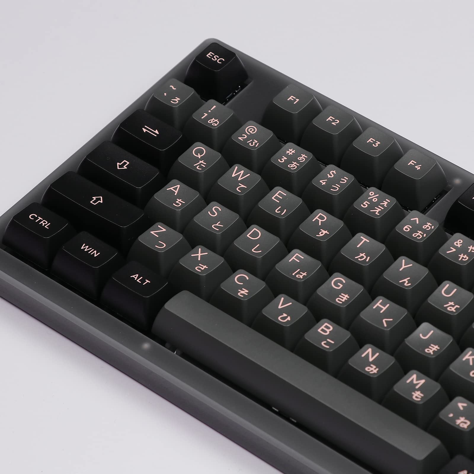 EPOMAKER AKKO ACR87 Black&Pink Hot Swappable RGB Wired 75% Mechanical Gaming Keyboard with Acrylic Translucent Case, Extra ASA PBT Keys Set for Mac/Win (AKKO CS Jelly Black Switch, ACR87 Black&Pink)
