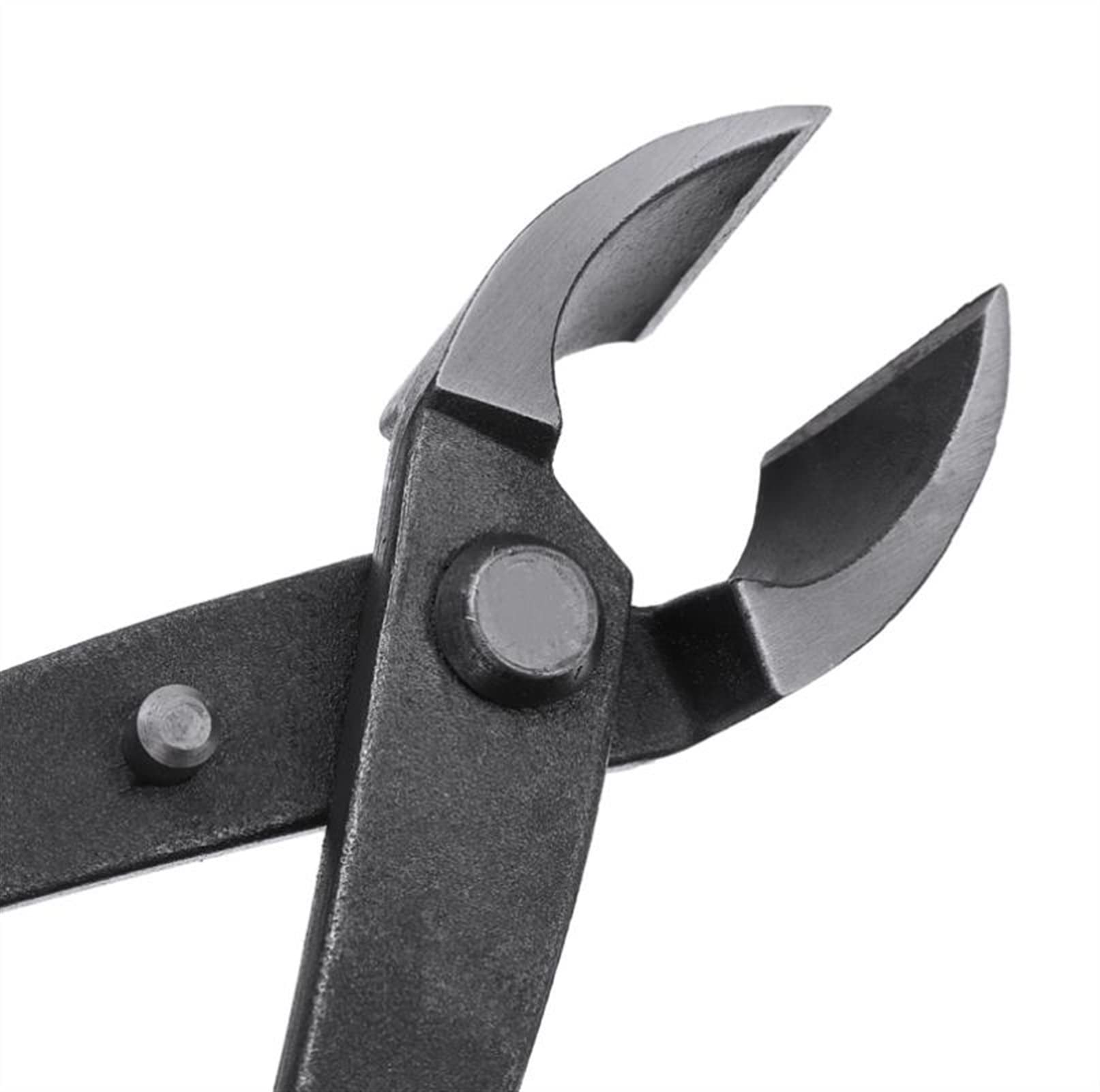 Garden Clipper 205mm 8 inch Garden Branch Cutter Forged Steel Round Edge Beginner Scissors Cutter Bonsai Tools