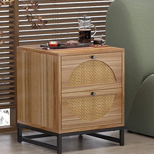 Recaceik Ratten NightStand, Natural End/Bedside Table Cabinet with 2 Ratten Drawers Storage and Metal Legs, Rustic Shelf Bedside End Side Accent Table for Living Room, Bed Room…