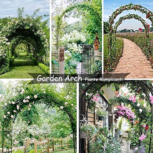Metal Garden Arch Trellis Frame Roses Vines Plants Climbing Archway Rose Arch for Outdoor Garden Wedding W120cm-320cm (High : 2.4m, Size : 3m/9.8ft)