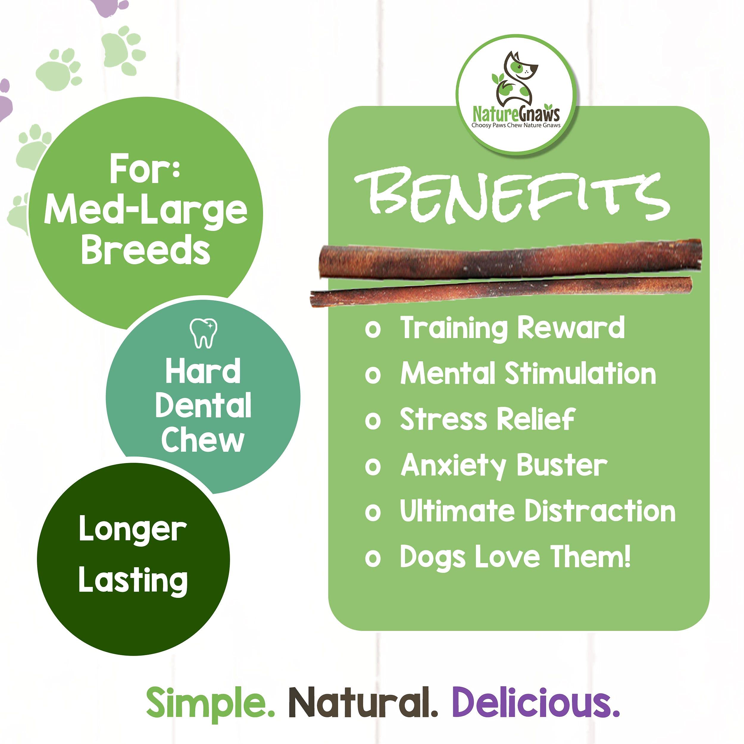 Nature Gnaws Bully Sticks for Dogs - Premium Natural Beef Dental Bones - Long Lasting Dog Chew Treats for Aggressive Chewers - Rawhide Free - Mixed Thickness 11-12"