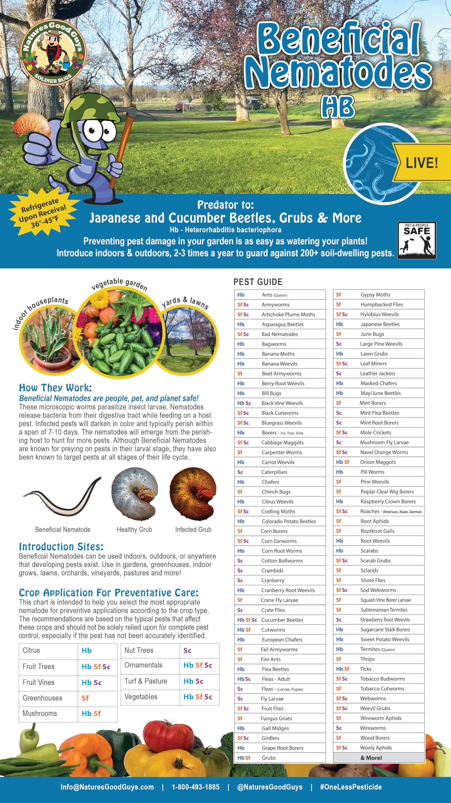 NaturesGoodGuys Beneficial Nematodes Heterohabditis bacteriophora HB -Ships from USA (25 Million)
