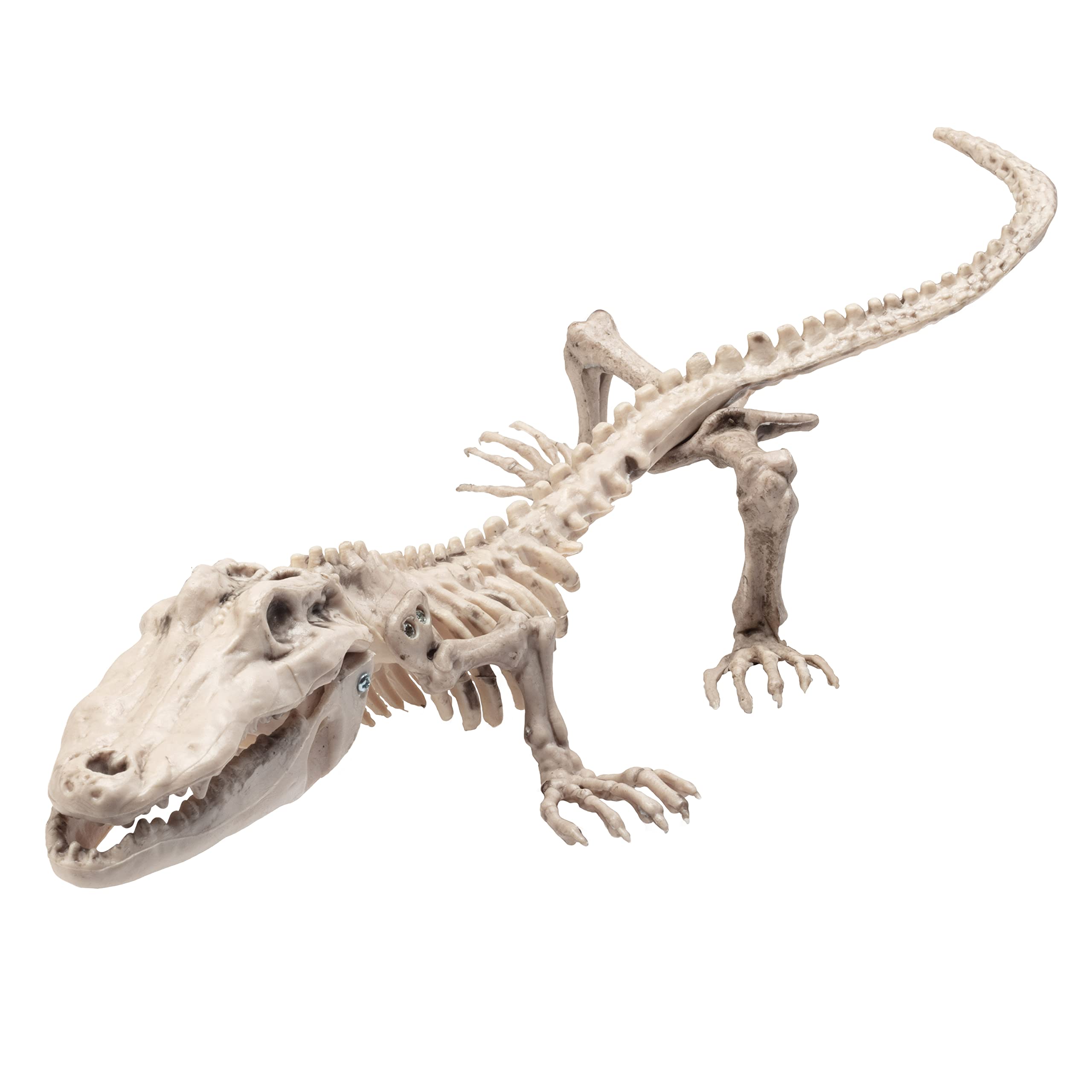 Crocodile Skeleton Halloween Decoration (2 Pack) 20" Long- Weather Resistant for Indoor Outdoor Use- Animal Decor for School Projects, Classrooms, Science Fairs- Fun & Educational Fall Party Prop