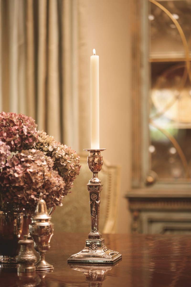 Root Candles Unscented Arista Timberline 9-Inch Dinner Candles, 12-Count, Ivory