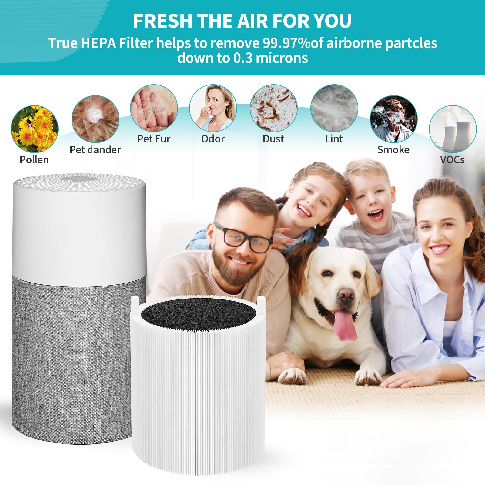 DerBlue 2 Pcs 411 Replacement Filter Compatible with Blueair Blue Pure 411, 411+, 411 Auto and Mini Air Purifier，include 2 Particle and 2 Activated Carbon