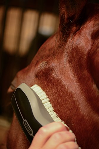 WAHL Professional Animal Equine Grooming Face Horse Brush, Black (858707)