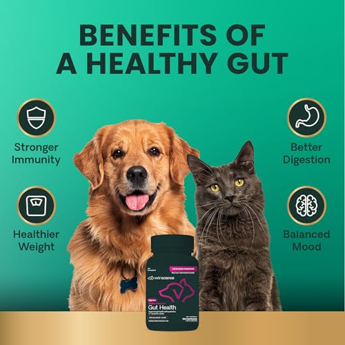 VetriScience Extra Strength Gut Health Easy-Open Capsules, Probiotic & Prebiotic Digestive Supplement for Dogs & Cats, Digestion, Gas & Diarrhea, Immune Support, 7.5 Billion CFU Per Capsule, 120 Count