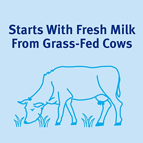 Pure Bliss by Similac Toddler Drink with Probiotics, Starts With Fresh Milk From Grass-Fed Cows, Non-gmo Toddler Formula, 24.7 Oz (Pack of 6)
