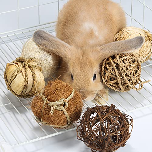 DAMPET Small Animals Play Balls, Chew Grass Balls & Rolling Chew Toys for Bunny, Improve Pets Dental Health for Rabbit, Chinchilla, Guinea Pigs, Hamsters, Gerbils, Rats, Mice (9 Pieces)