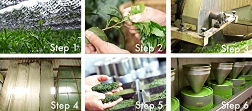 eco heed Organic Japanese Matcha Green Tea Powder - Premium Superior Culinary Grade - Stone Ground No Additives - (3.5oz)