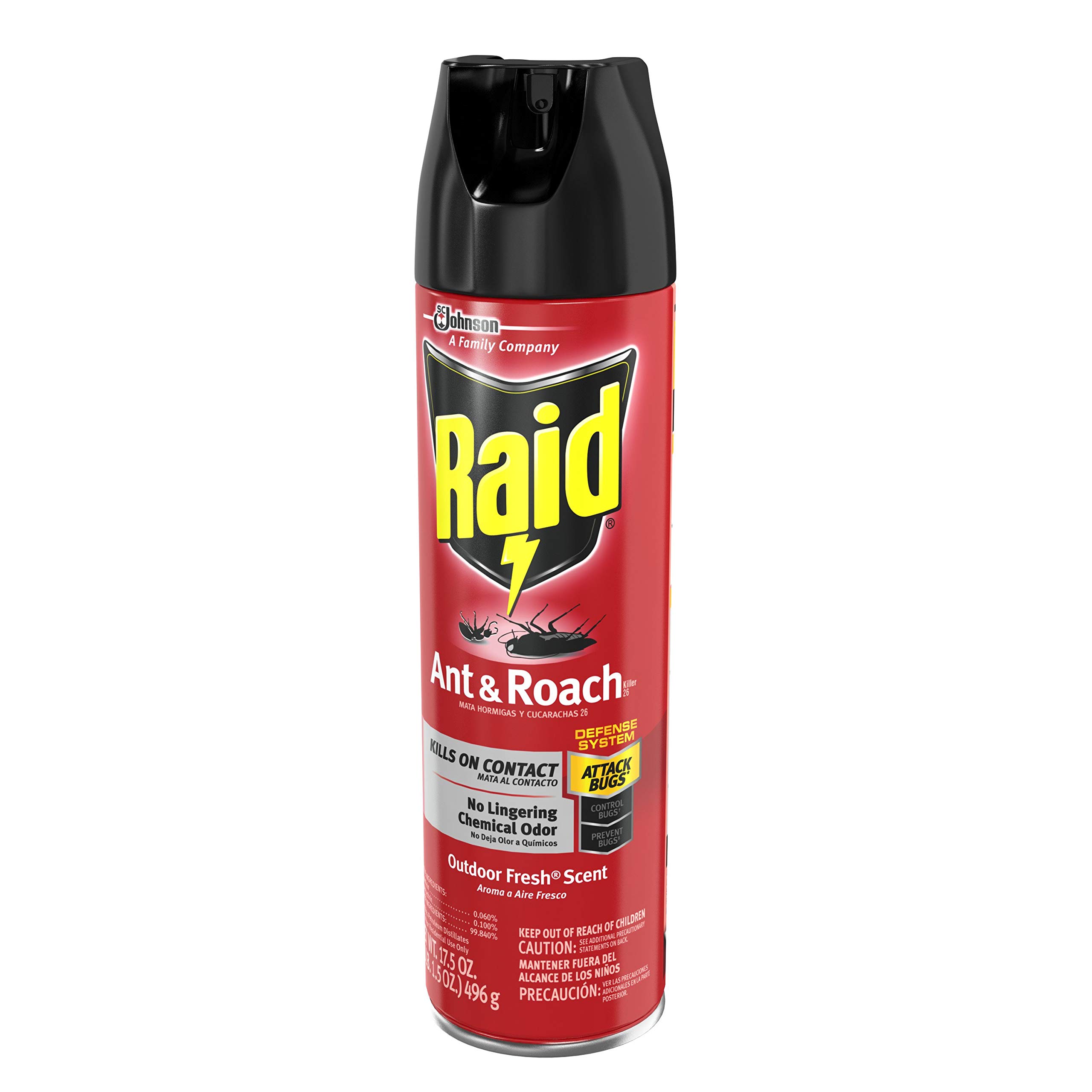 Raid Ant & Roach Killer Outdoor Fresh 17.5 OZ (Pack - 2)