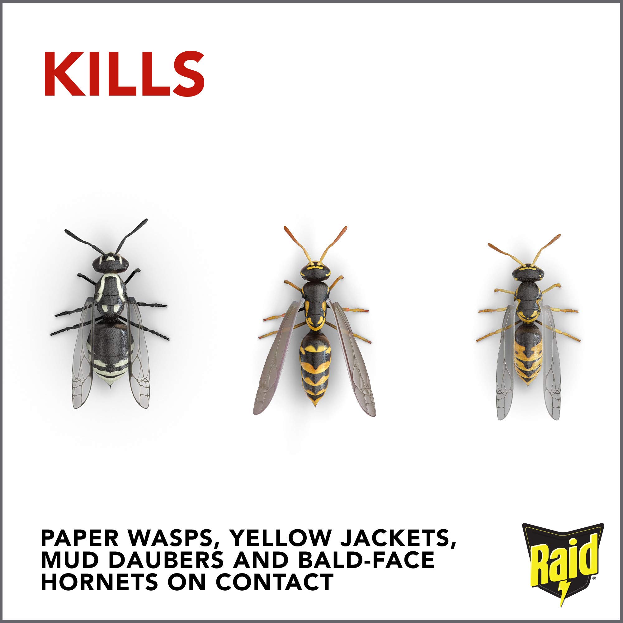 Raid Wasp Hornet Killer Spray (14 Ounce (Pack of 4))