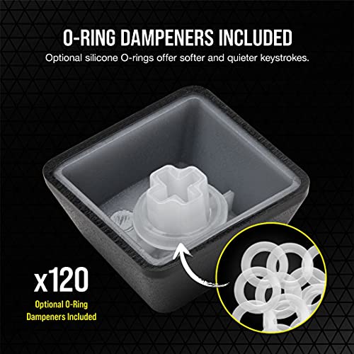 Corsair PBT Double-Shot PRO Keycap Mod Kit – Double-Shot PBT Keycaps – Onyx Black – Standard Bottom Row – Textured Surface – 1.5mm-Thick Walls – O-Ring Dampeners