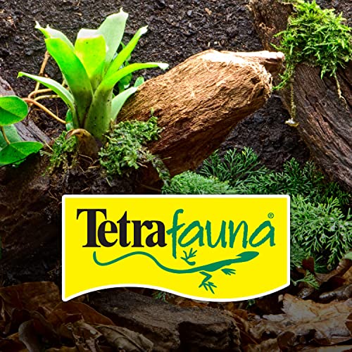 TetraFauna Hermit Crab Meal for All Land Crabs, 4.94-Ounce