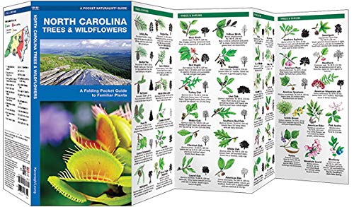 North Carolina Trees & Wildflowers: A Folding Pocket Guide to Familiar Plants (Nature Observation North America)