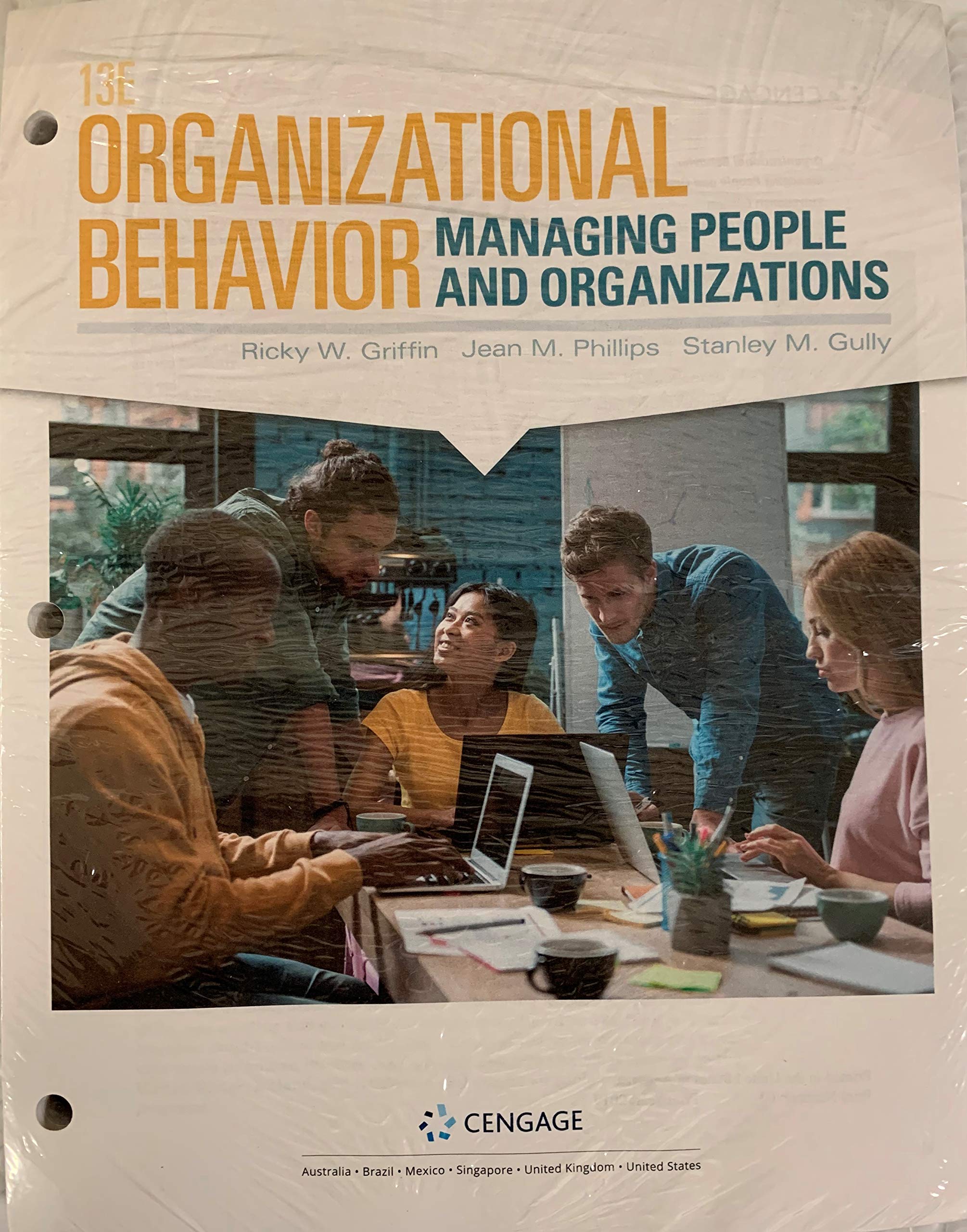 Organizational Behavior: Managing People and Organizations (MindTap Course List)