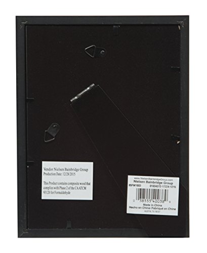 Snap 05FW1803 Wall Mount Mat Picture Frame, 6 inches x 8 inches, Black