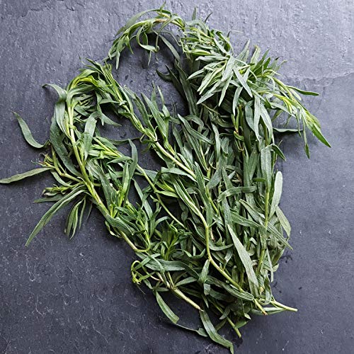 Gaea's Blessing Seeds - Tarragon Seeds - Heirloom Non-GMO Seeds with Easy to Follow Instructions - Open-Pollinated Herb Seeds Germination Rate 91%