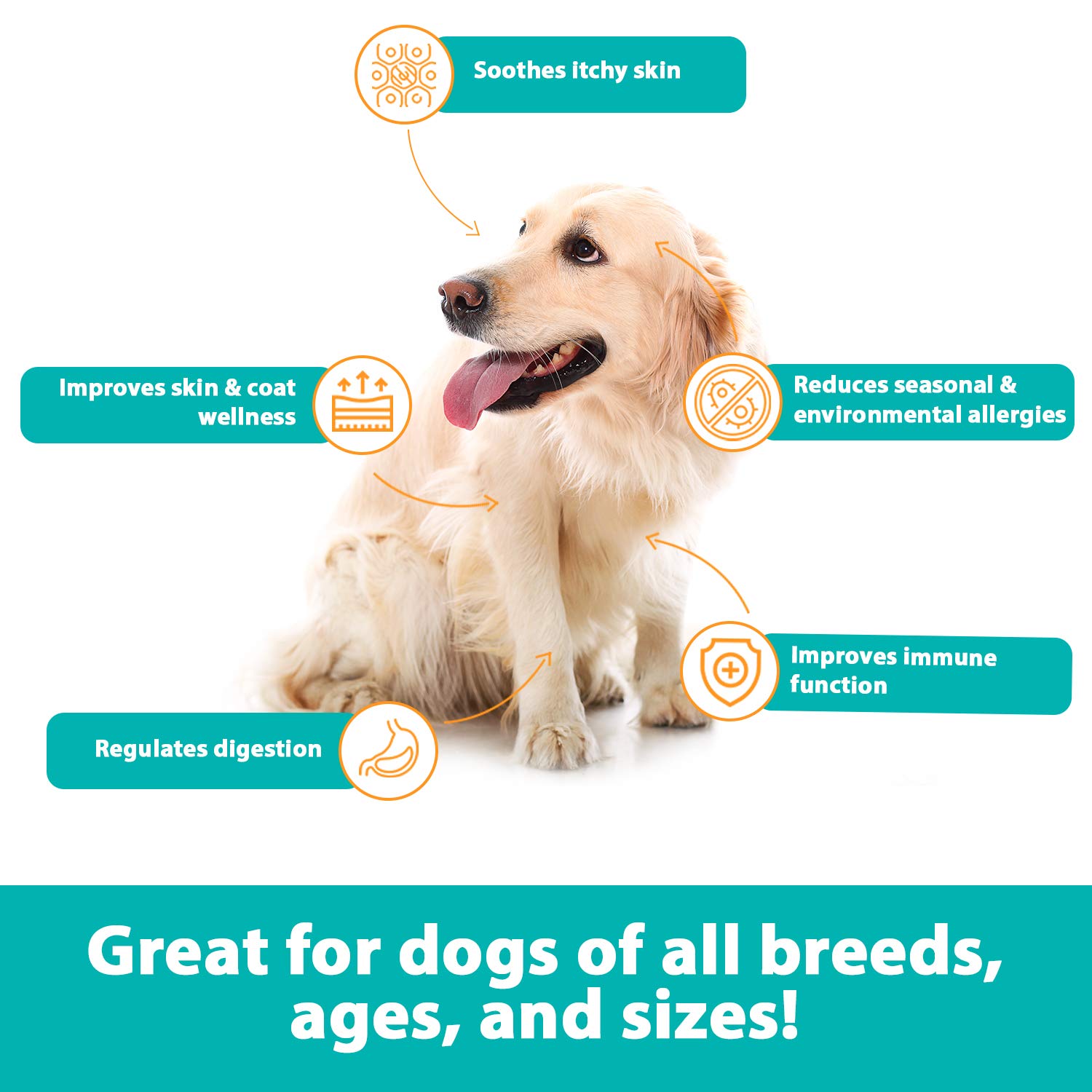 RestoraPet Allergy, Itch & Immune Soft Chews - Natural Supplement for Dogs - Support Immunity, Soothe Skin Irritation, Improve Coat Quality β with Lactoferrin, Colostrum & Omega 3-60 Bacon Chewables
