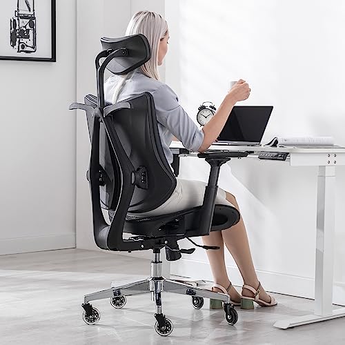 BV Ergonomic Dual Backrests Office Chair, Lumbar Support Office Desk Chair Back Support, Breathable mesh Office Chair 3D Adjustable Armrest(Foam Black)