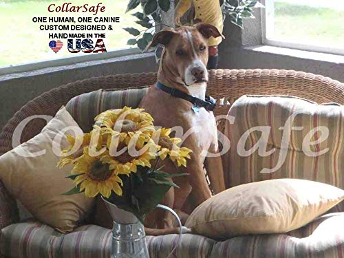 CollarSafe 3/4" Wide NYLON Replacement Collar w/Heavy Duty Buckle - FITS PetSafe PIF-275, Microlite & Many Other Modules Requiring 2-Holes 1-3/16” Apart to Attach - PLS Read Listing - View Photos