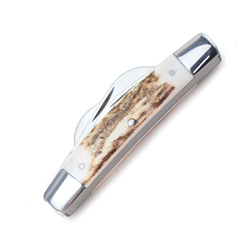 DIAMOON Small Folding Pocket Knife Tools 3.6β Medium Congress Classic Traditional Stag Handles with 4x 420 Stainless Blades, gift for dad, knife collectors