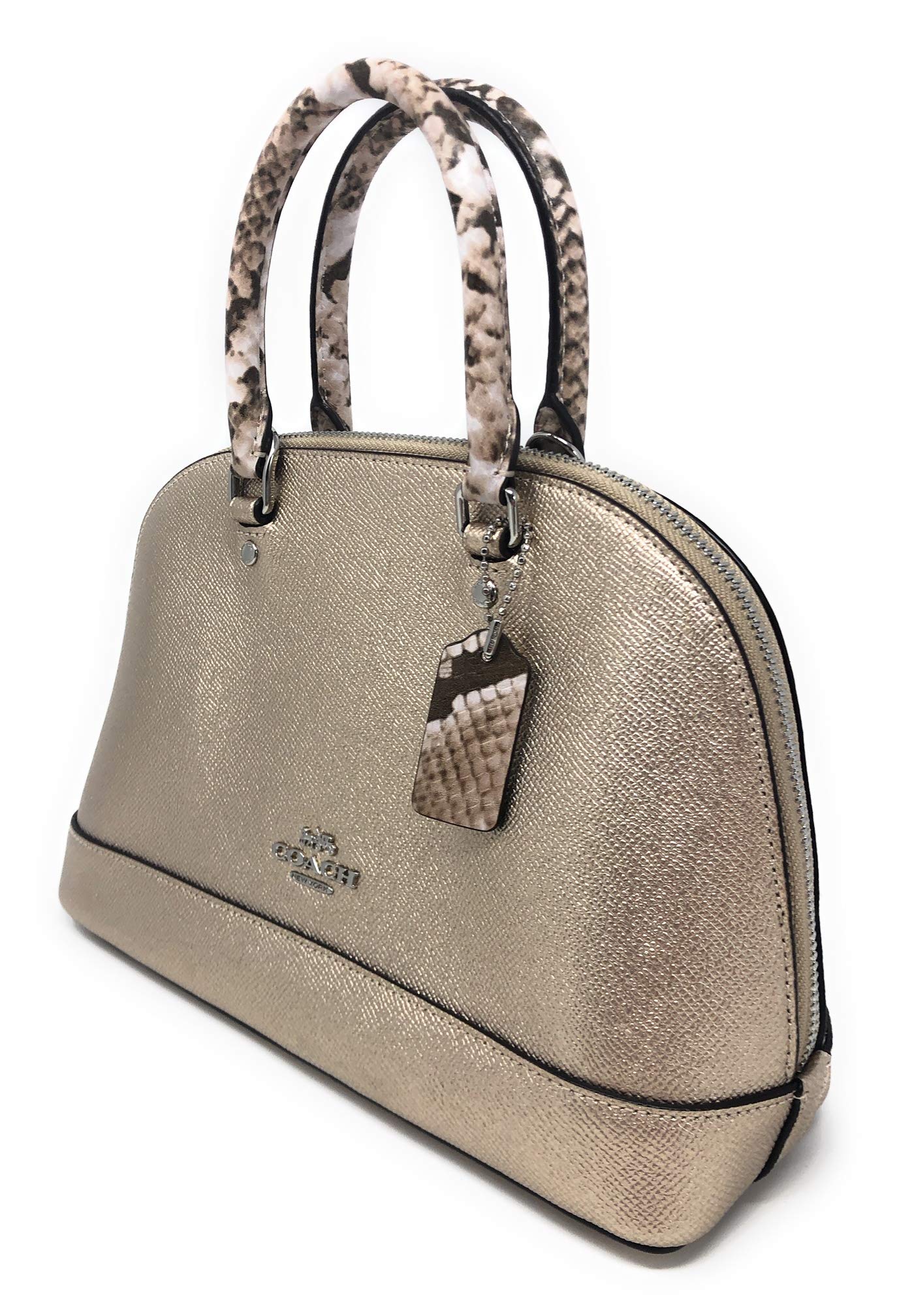 Coach Metallic Exotic Trim Mini Sierra Satchel Handbag Crossbody (SV/Platinum)