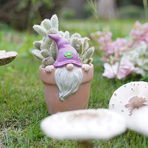 Newman House Studio Spring-Gnomes Flower-Pots Easter Decorations Cactus-Succulents - Easter Decorative Purple Planter Pots Unique Garden Pots with Drainage Hole for Indoor Outdoor 3 x 3.5 x 5 inch