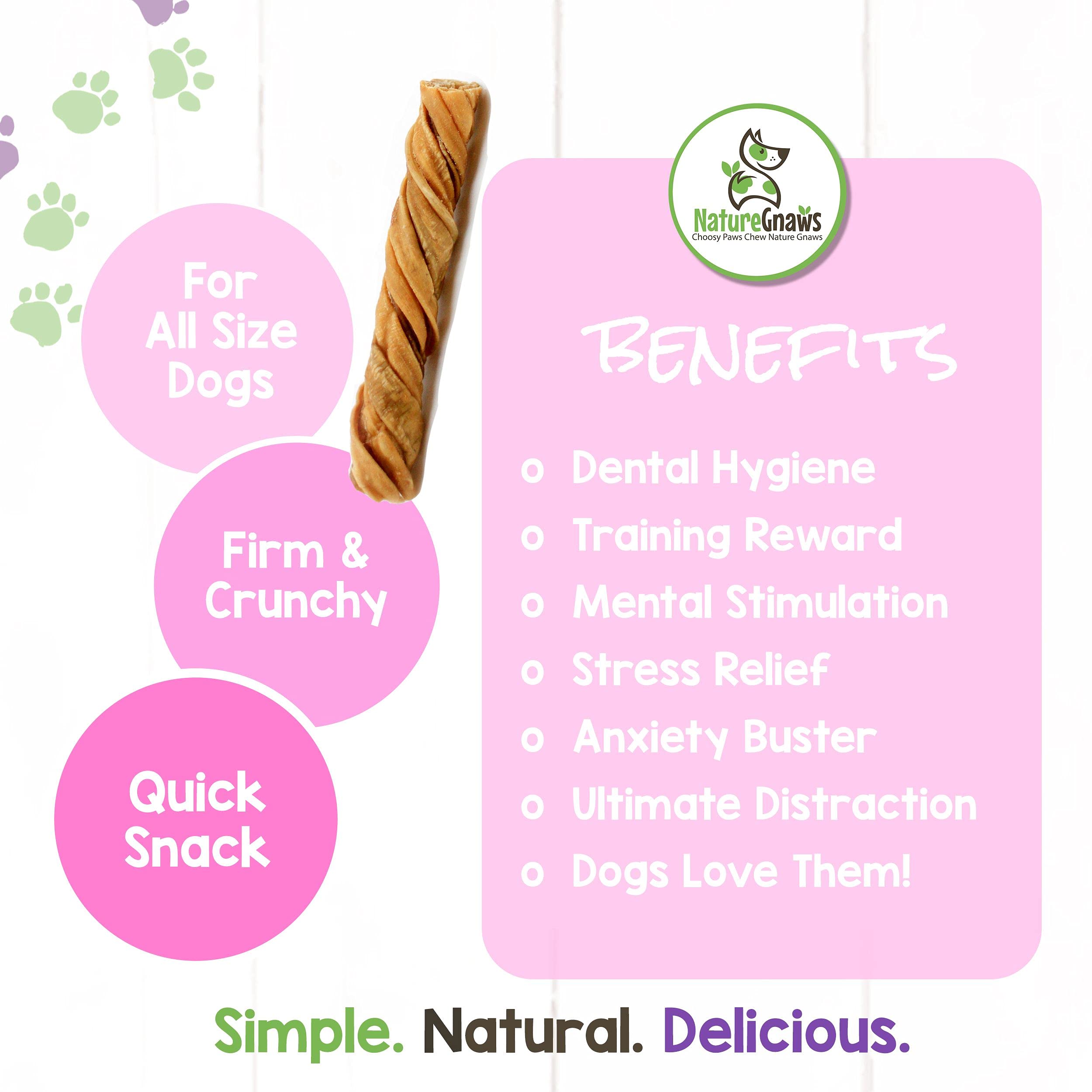 Nature Gnaws Tripe Twists for Dogs - Premium Natural Beef Sticks - Simple Single Ingredient Crunchy Dog Chew Treats - Rawhide Free - 4-5 Inch (8 oz)