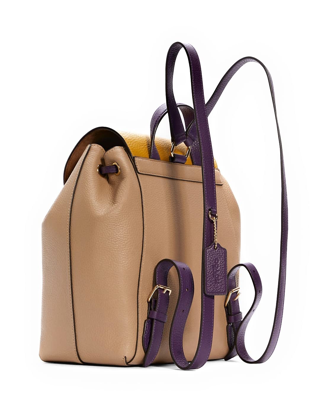Coach Womens Kleo Backpack (IM/Taupe Multi)