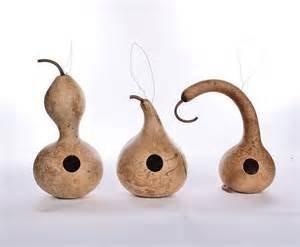 Gourd Seeds Birdhouse Bottle Gourd Seeds, 25 Seed Pack, USA Product.