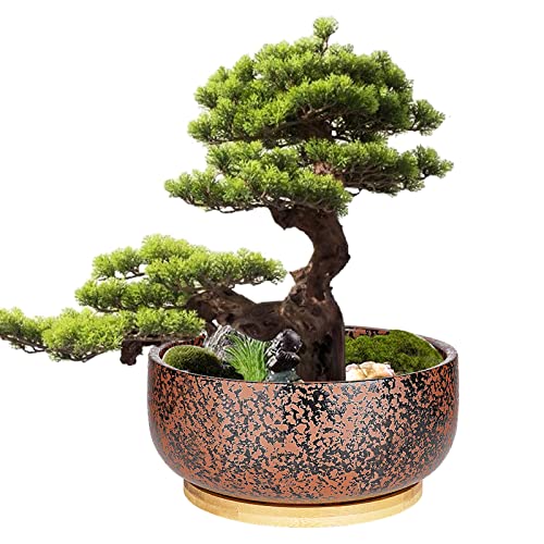 G EPGardening 8 Inch Terracotta Succulent Planter Pot with Drainage Hole Round Shallow Bonsai Planter Pot with Bamboo Saucer Flower Pot for Indoor Plants Black