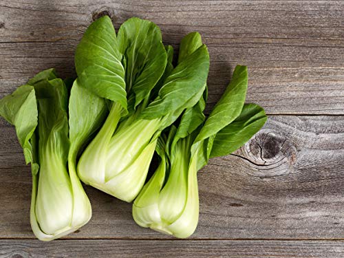 Gaea's Blessing Seeds - Bok Choy Seeds (2.0g) Canton Pak Choi Chinese Cabbage Non-GMO Seeds with Easy to Follow Planting Instructions - Heirloom 90% Germination Rate