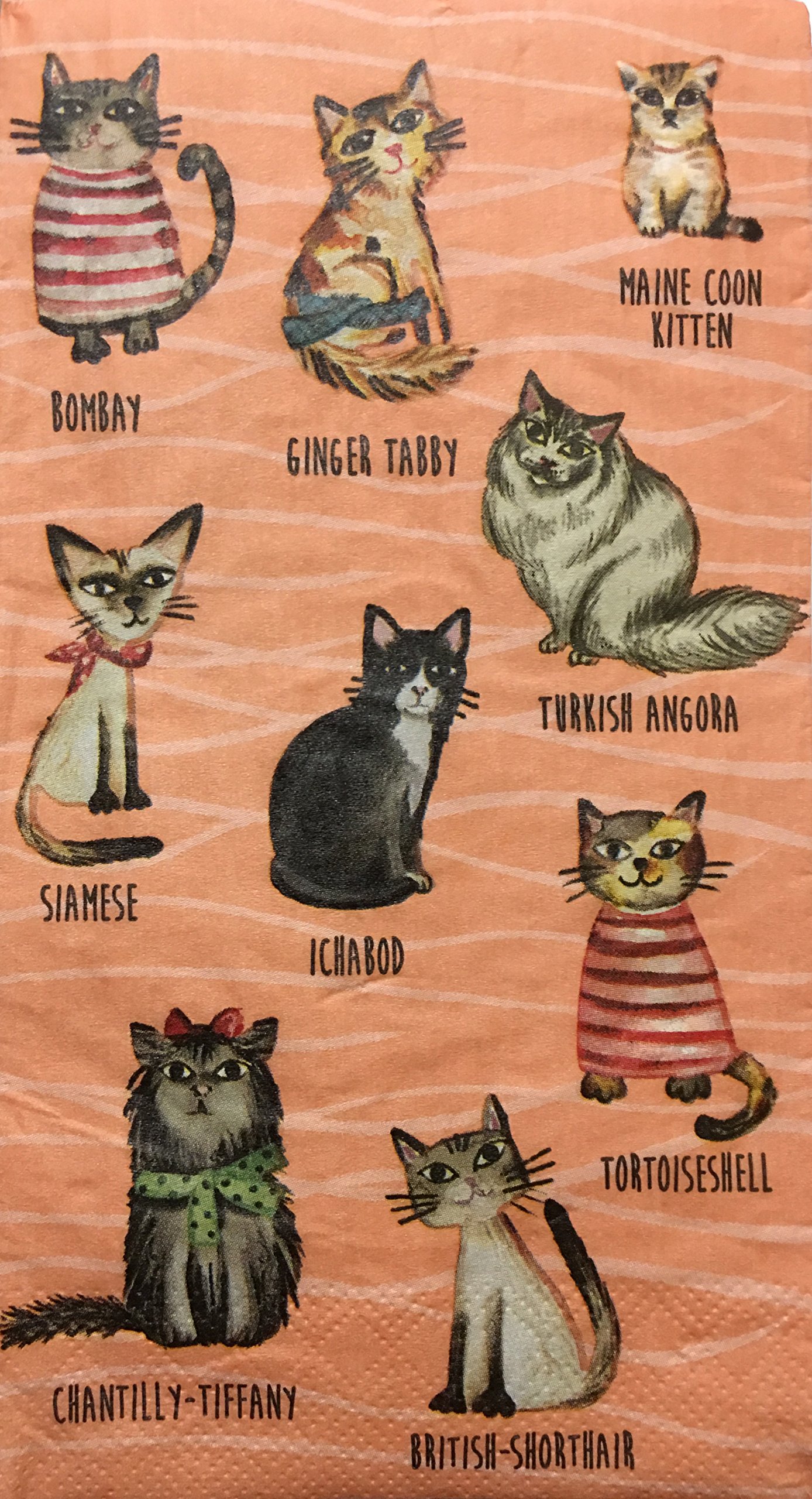 Creative Converting Guest Towels Buffet Hostess Cat Collage 2-ply Napkins, Meow, 20 ct