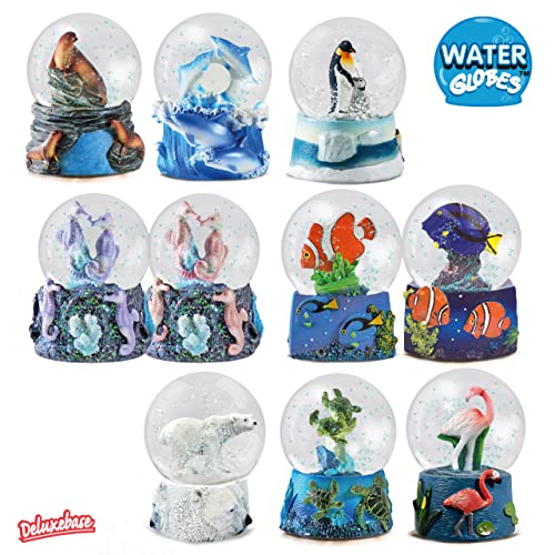 Water Globe - Reef Fish from Deluxebase. Snow Globe with Resin Figurine and Moulded Base. Great Home Globe Decor, Ornaments and Gifts. (Design Randomly Selected from Either Clown Fish or Blue Tang)
