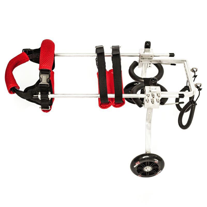 QingYi Dog Wheelchair , Adjustable Animal Exercise Wheels,Cart Pet Wheelchair for Handicapped Hind Legs Small Pet/Cat/Dog Red