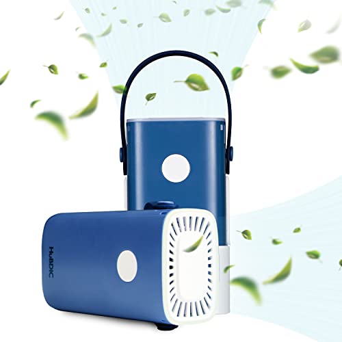 Multipurpose Deodorizer │Air Ionizer with Negative Ion to Remove Odors in Refrigerator, Shoe Closet, Bathroom, Wardrobe, Car, and Pet Litters │ Portable Air Purifier and Cleaner (Blue)