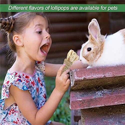 RUNANIA 20 Pcs Rabbit Chew Toys for Teeth, Natural Wood Sticks Timothy Chew Toys for Rabbit Bunny Guinea Pig Hamster Chinchilla