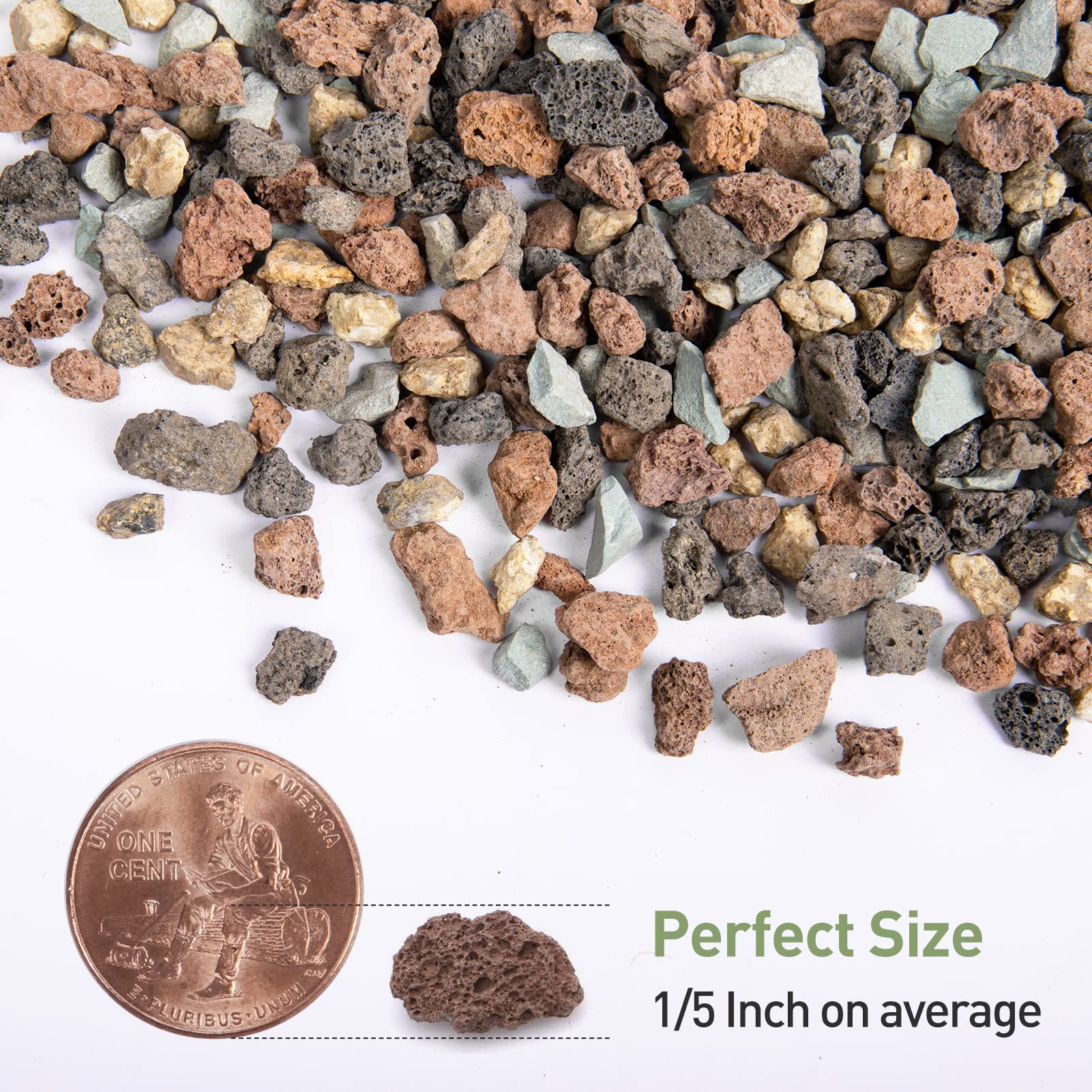 GASPRO 5lbs Lava Rocks for Plants, 1/5 Inch Pea Gravel for Succulent, Pots Indoor, Terrarium, Cactus, Bamboo, Bonsai Tree, Top-Dressing, Mixed Color Volcanic Rocks, Good Drainage