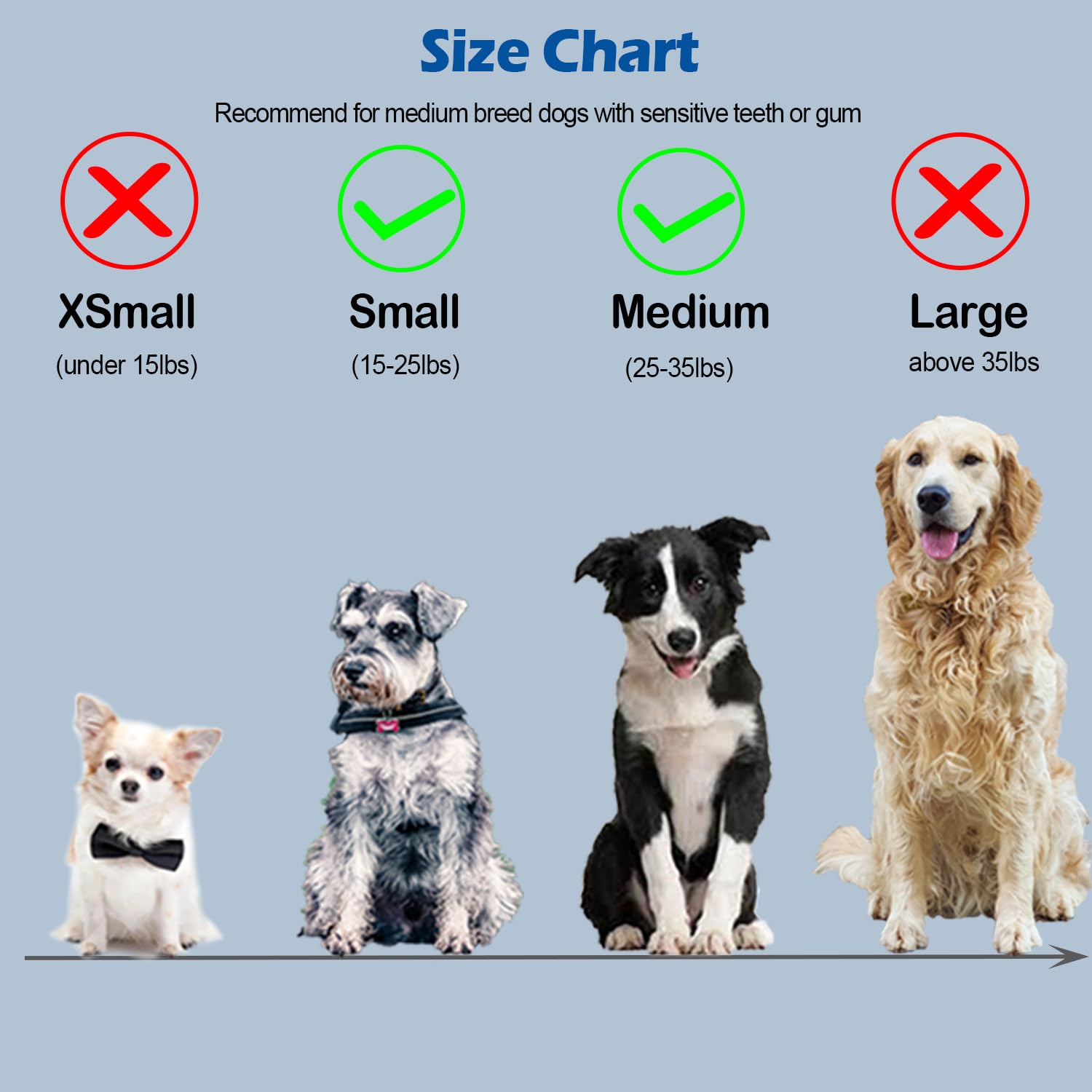 JGocot 3Pack Small Dog Toothbrushes,Cat Toothbrush,Soft Micro Nano Bristle for Sensitive Gum&Teeth Toothbrush for Dog Teeth Cleaning&Dog Dental Care Pet Toothbrush Kit for Puppy&Kitten