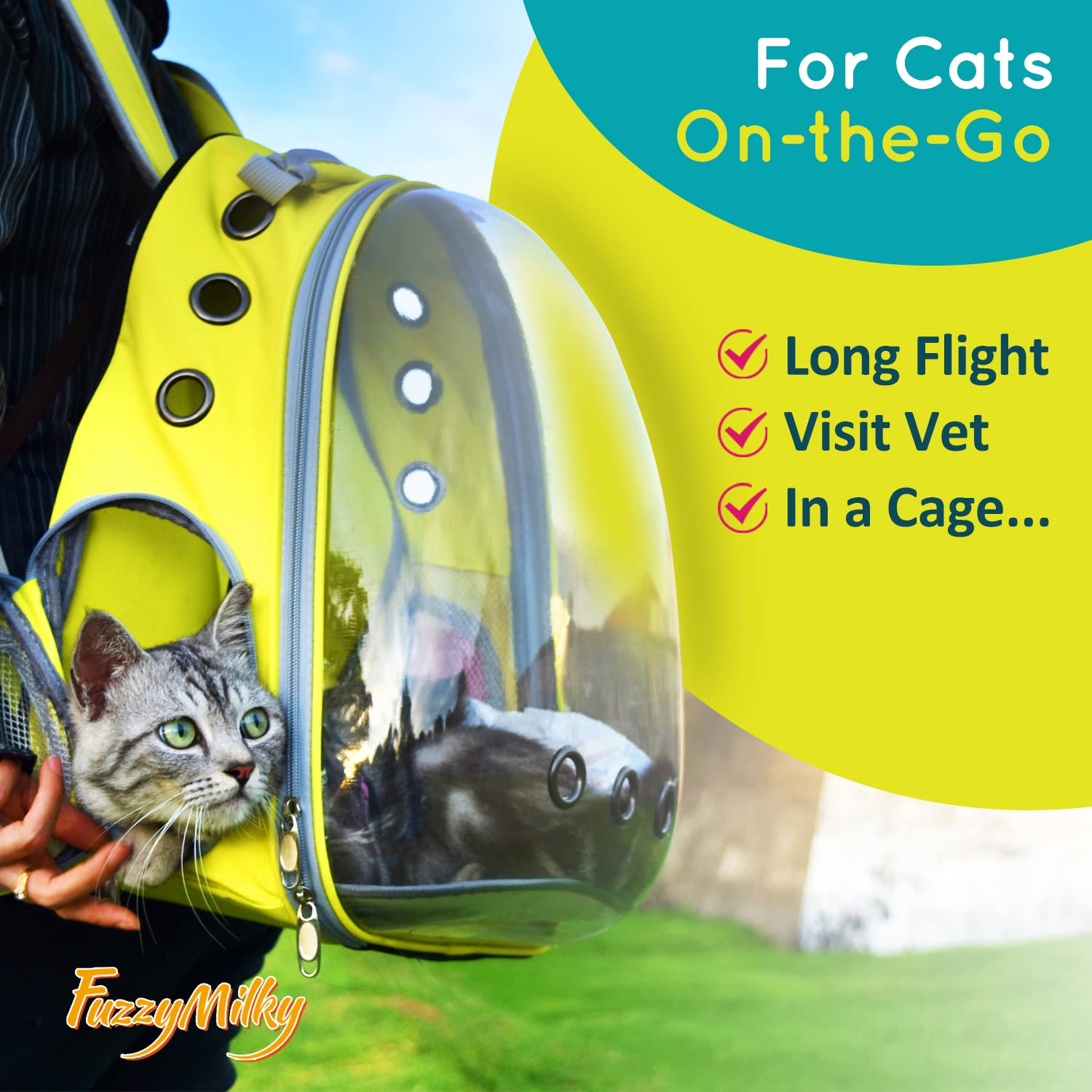 Fuzzymilky Cat Calming Collars - 5 Packs Cat Collar Infused with Synthetic Pheromones (Blue) - Cat Pheromone Diffuser Necklace for Anxiety Relief, Travel, Keeping Kitty Quiet