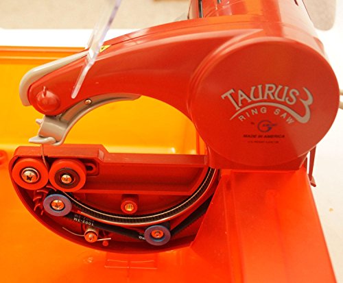 Gemini Taurus 3 Diamond Ring Saw
