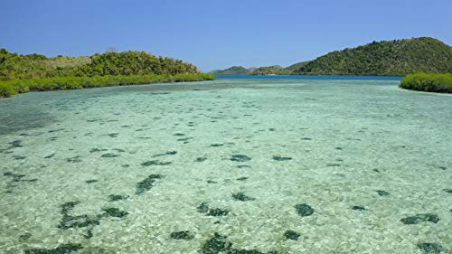 Ocean and Underwater DVD - Under And Above The Pacific Ocean - Fly Over Tropical Paradise - Row over Coral Reefs and Dive With The Turtles