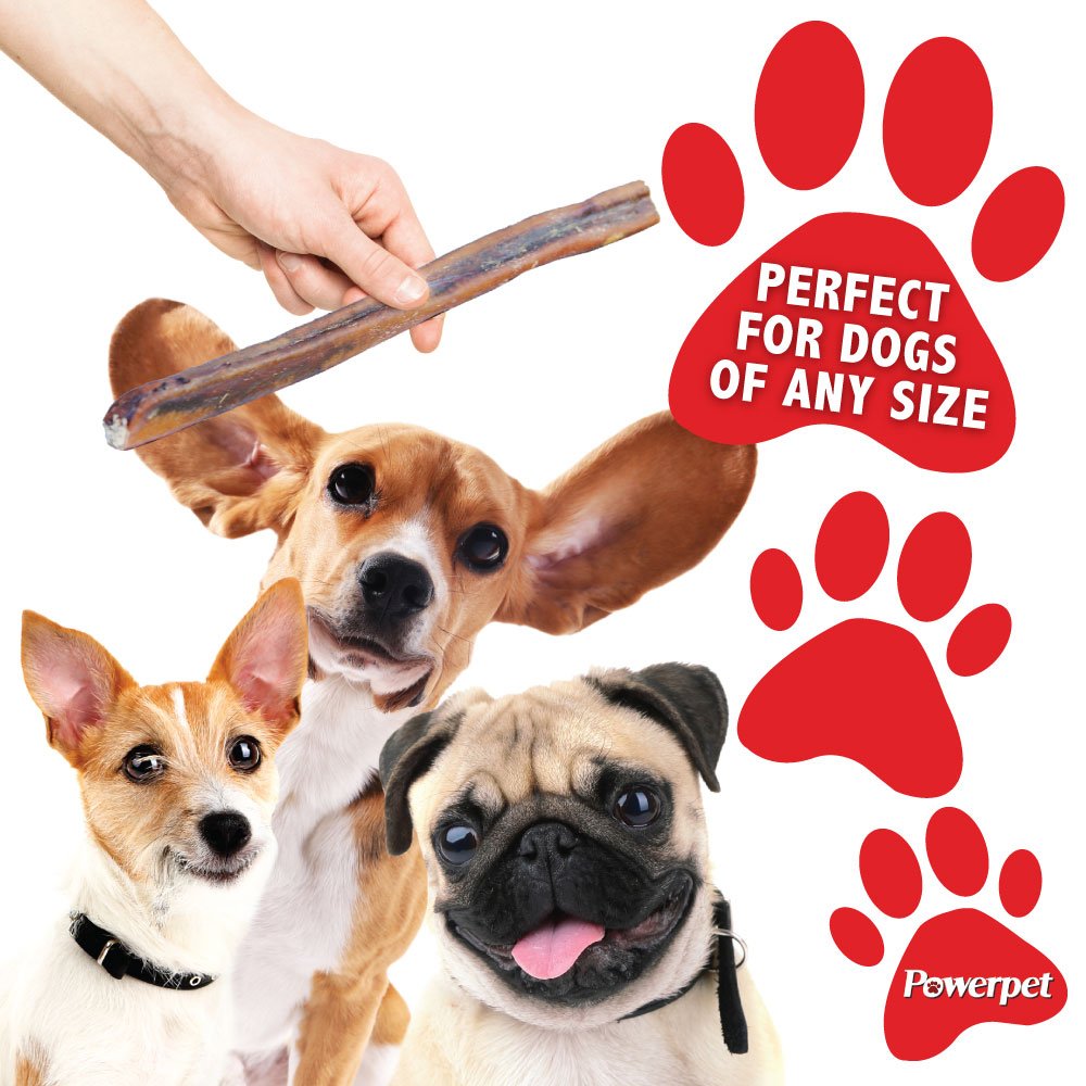 Natural Dog Chew - Powerpet: Bully Sticks - 12” Jumbo Bully Sticks - 7 Ct - Odorless - Helps Improve Dental Hygiene - 100% Natural & Highly Digestible - Helps Keep Your Dog Healthy & Happy